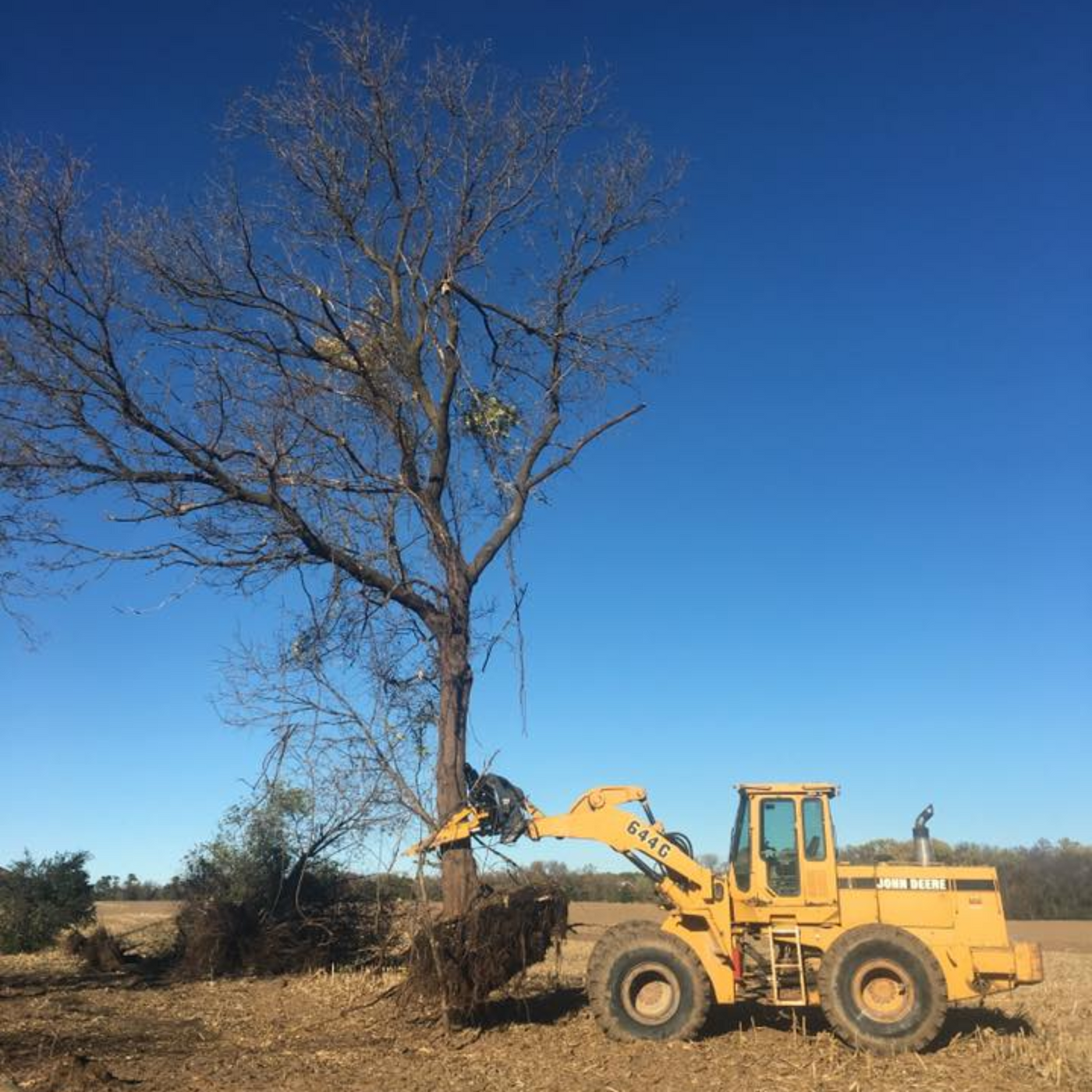 DOMINATOR® Tree Puller Multi purpose Tree Puller Tool AR400 Steel Jaws ...